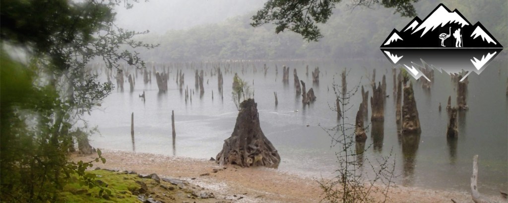 Moa? – The Moa Hunters